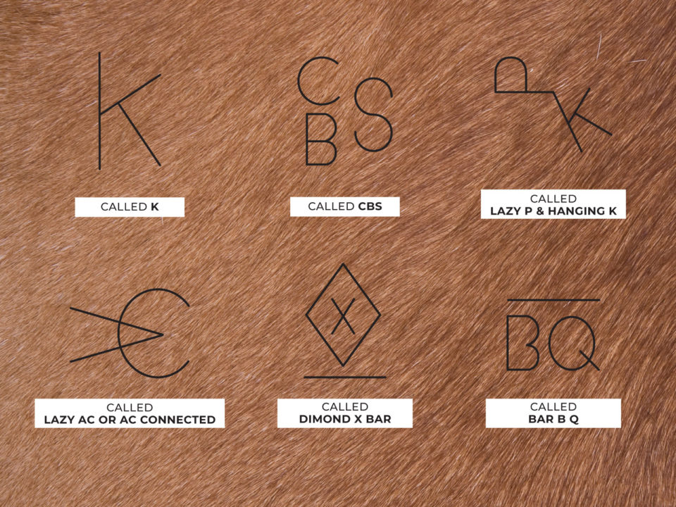 Decoding the Secret Language of Colorado Cattle Brands - 5280