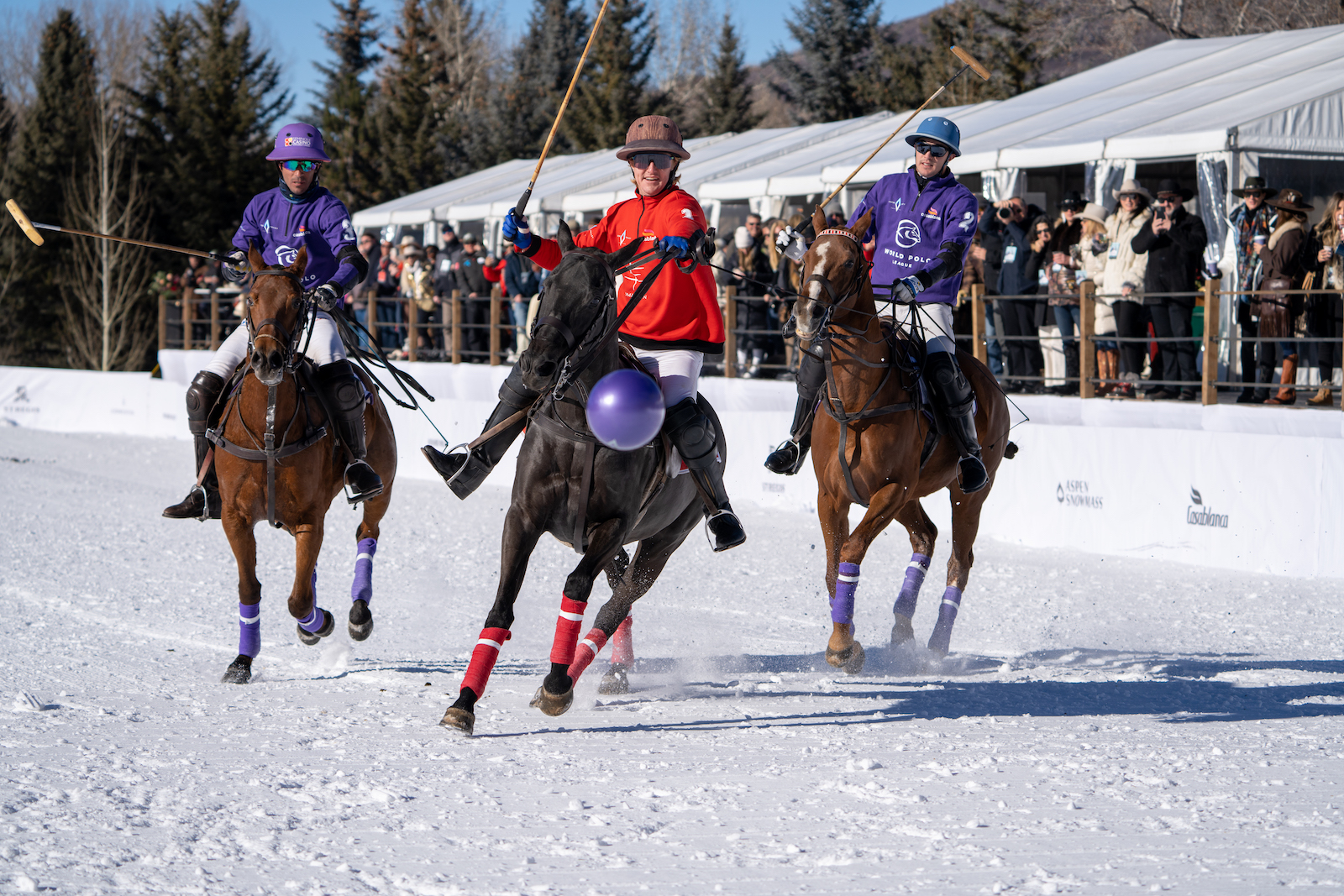 Why Is Colorado the Snow Polo Capital of America? - 5280