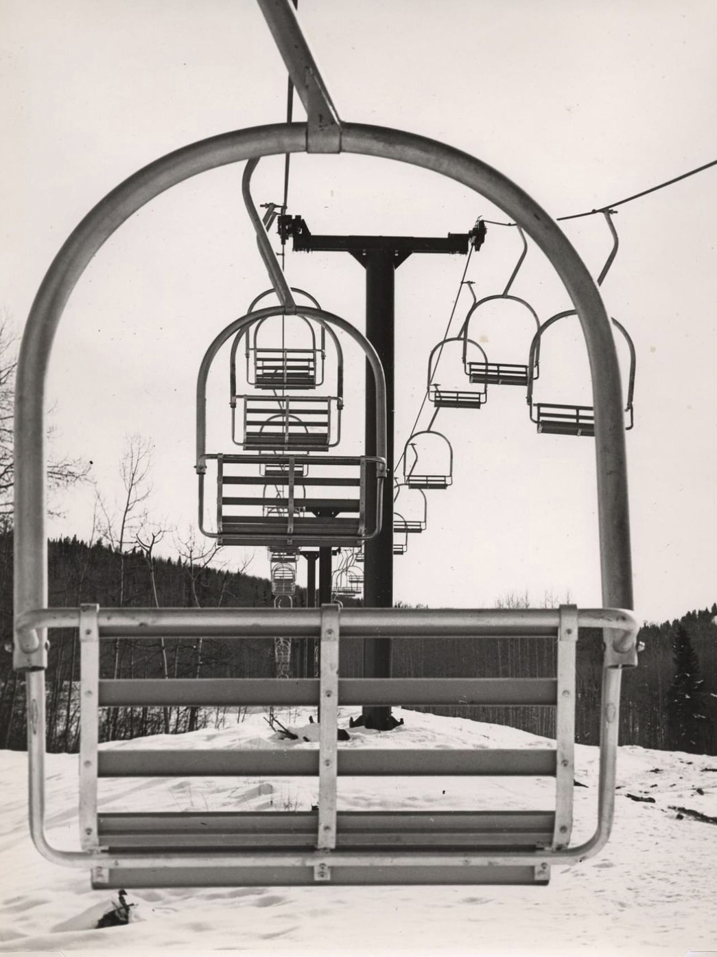 How to Celebrate Telluride’s Golden Anniversary - 5280