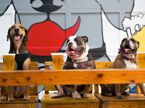 8 Last-Minute Spring Break Trips from Denver - 5280