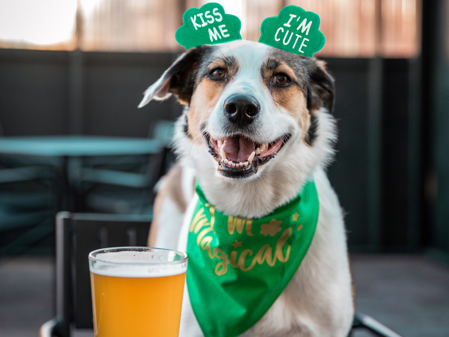 16 Festive St. Patrick’s Day Events in Denver - 5280