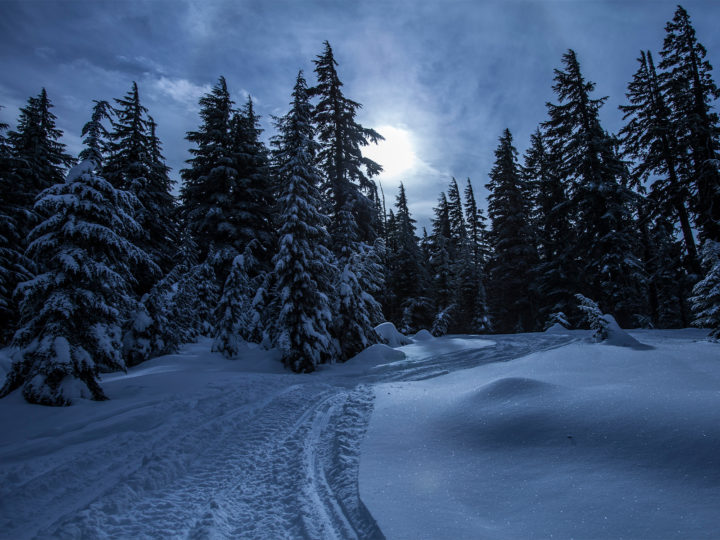 David Lesh, Notorious Colorado Influencer, Arrested for Assault - 5280