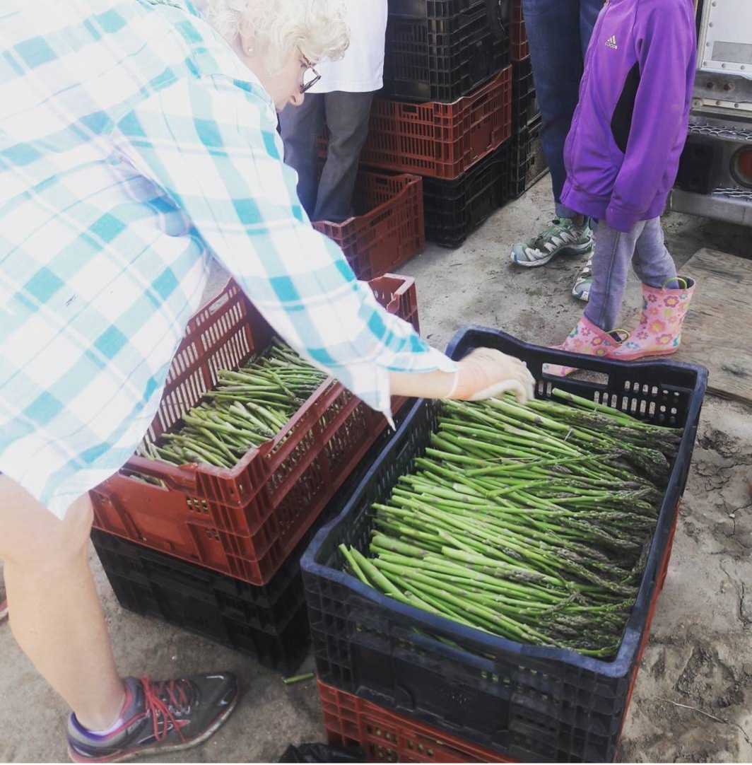 What’s in Season Now: Asparagus