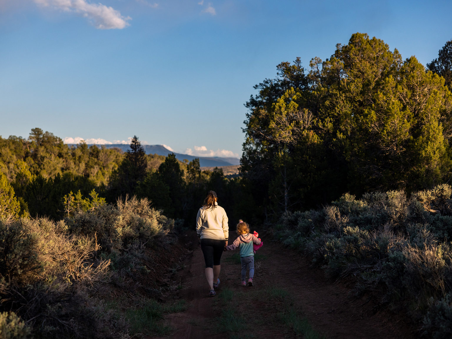 Camp with Wild Horses In the Little Book Cliffs - 5280