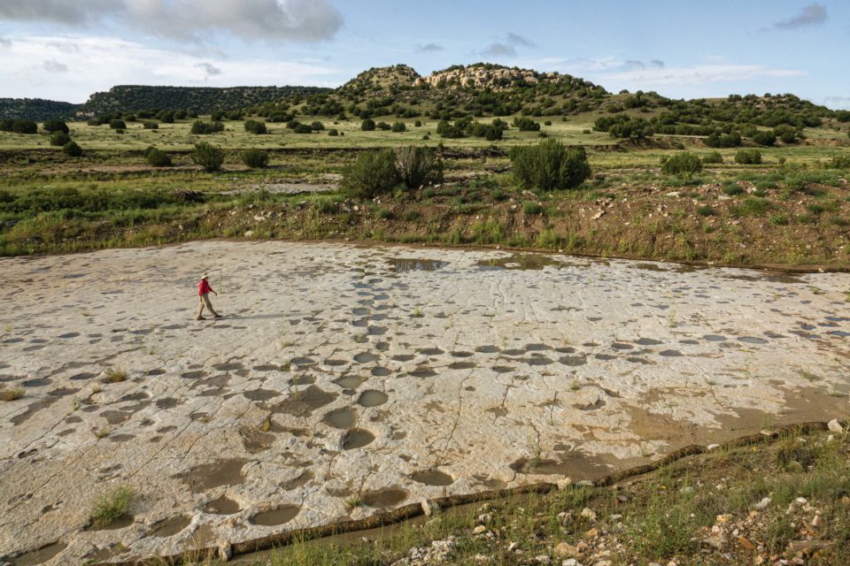 A Dinosaur Lover's Guide to Colorado - 5280