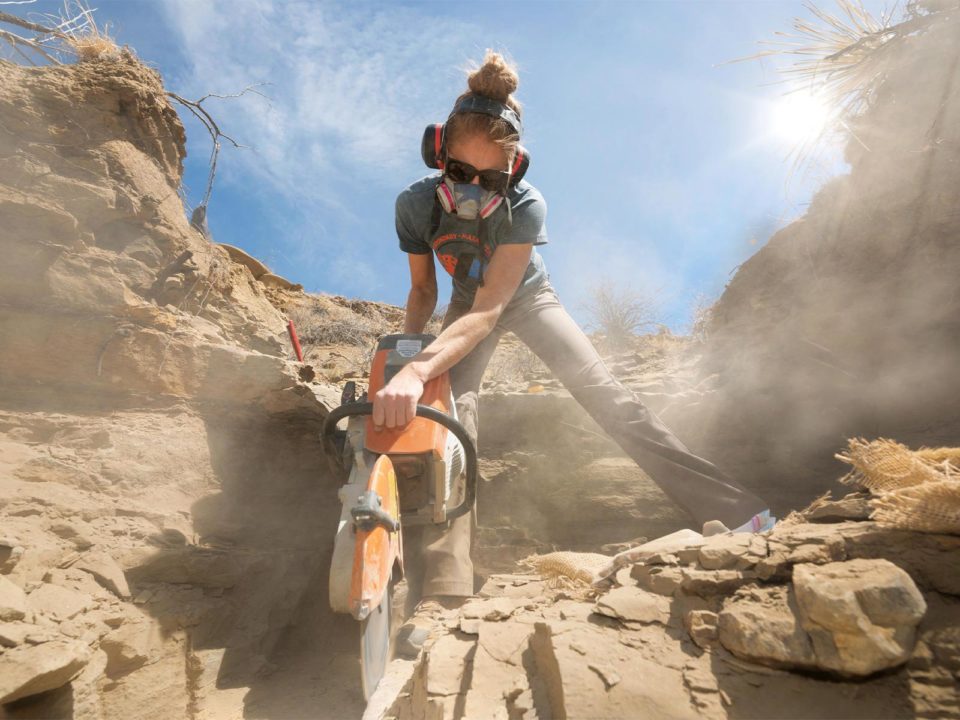 A Dinosaur Lover's Guide to Colorado - 5280