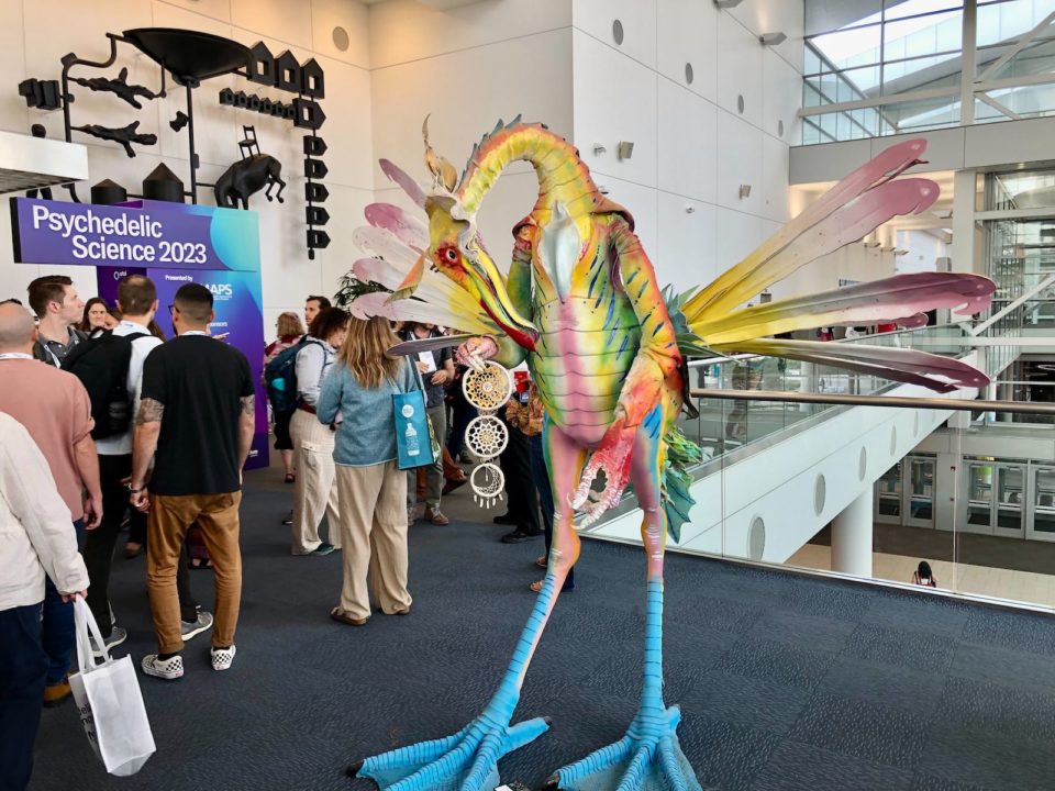 5 Key Takeaways From the Largest Psychedelics Conference in History - 5280