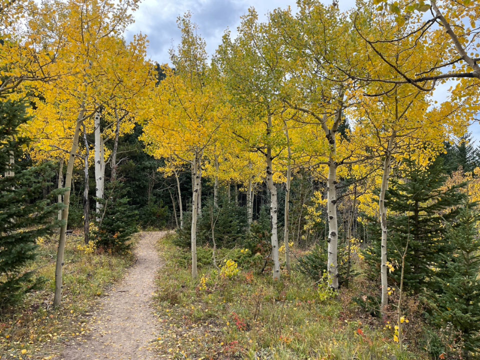 Golden: The Golden Gate Canyon State Park Loop - 5280