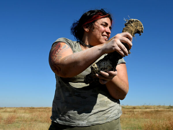 Tarantulas! What to Know About Colorado’s Spider Migration - 5280