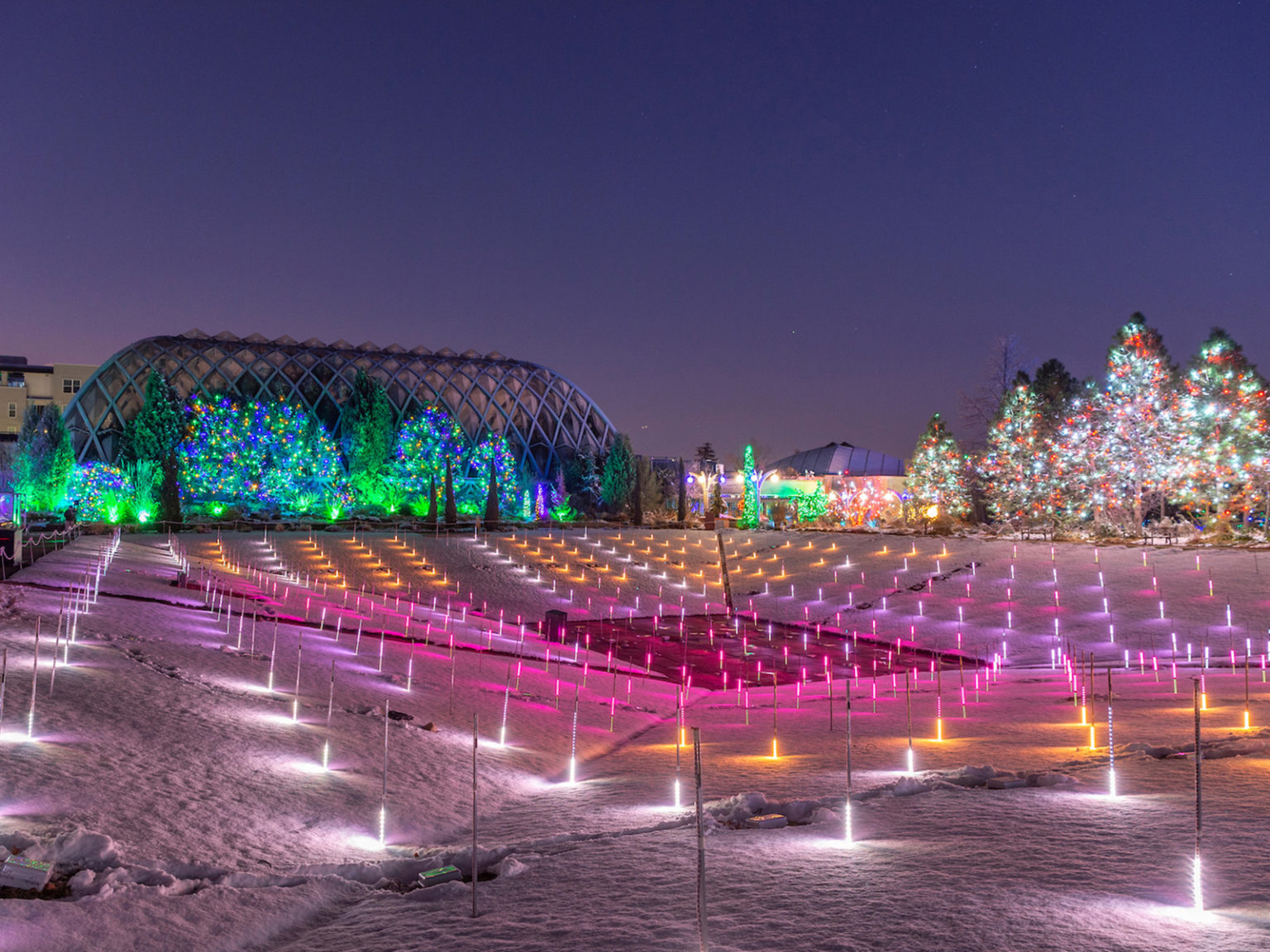 Where To See the Best Christmas Lights Around Denver This Year - 5280