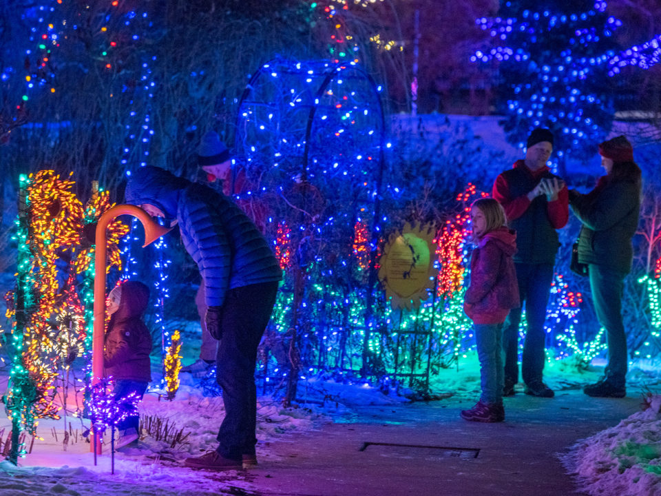 Where To See the Best Christmas Lights Around Denver This Year - 5280