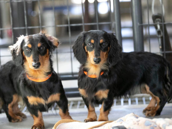 10 Colorado Nonprofits to Help You Get Involved This Year - 5280