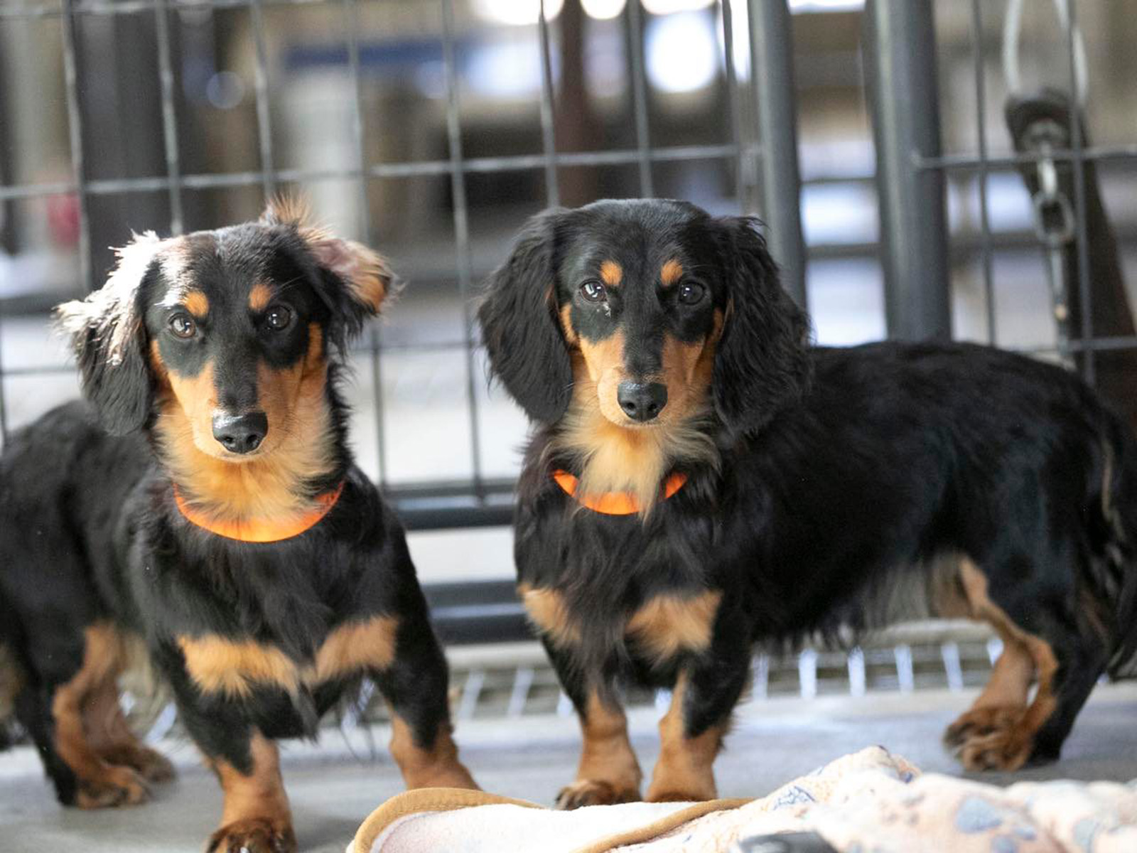 10 Colorado Nonprofits to Help You Get Involved This Year - 5280