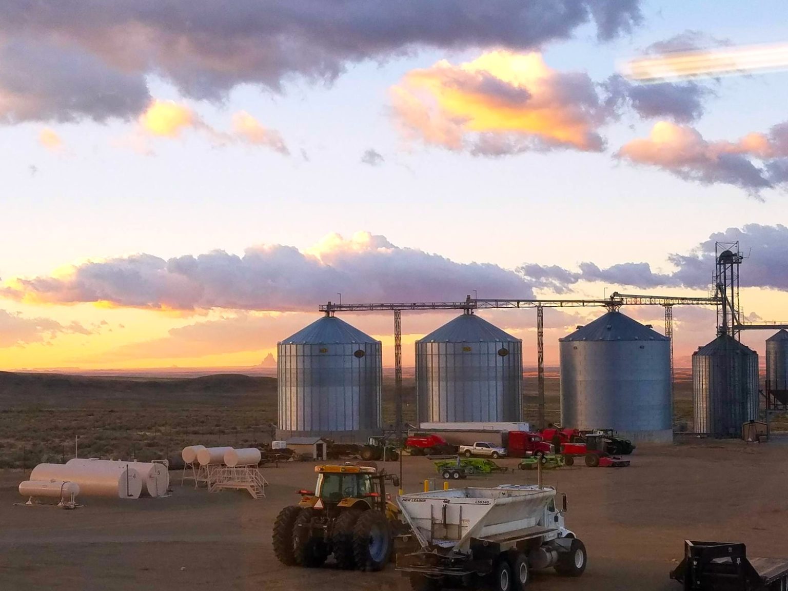 Where to Buy Colorado Grains and Flours (and How to Use Them)