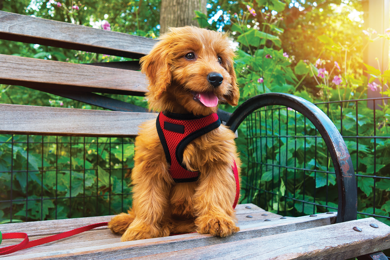 5280 - Denver's Mile High Magazine