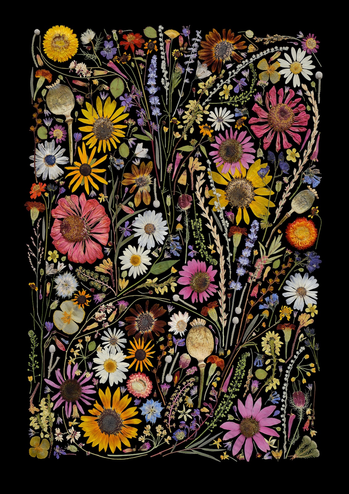 Meet the Colorado Duo Creating Collages Using Pressed Flowers - 5280