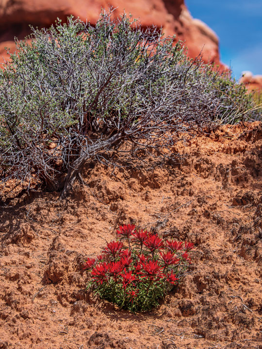 The 5280 Guide to Utah’s Arches National Park - 5280