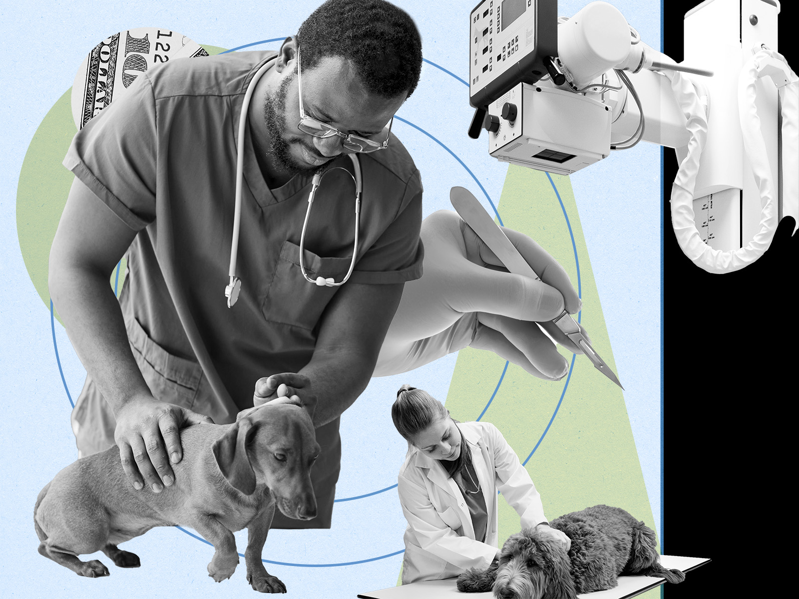 Can Vet Techs Help Cure Colorado’s Vet Shortage? - 5280