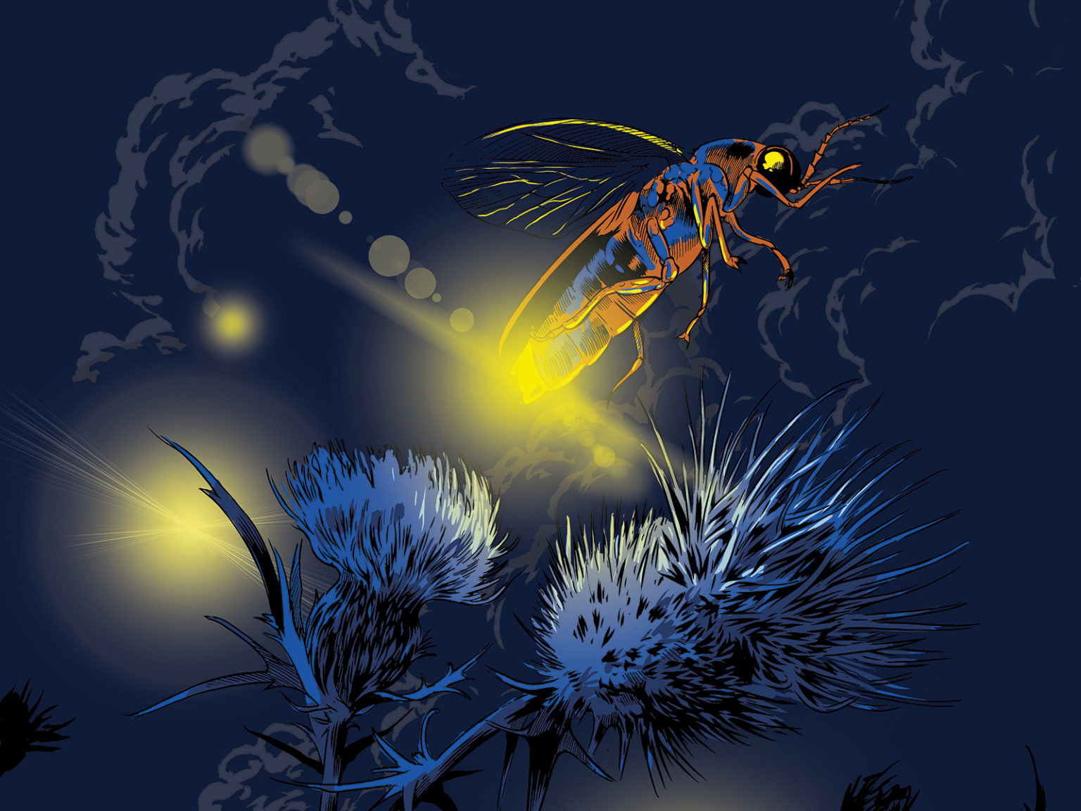 How Scientists Are Working to Reverse Colorado’s Bug Decline - 5280