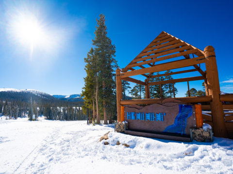 What We Learned From Alterra’s Latest Impact Report - 5280