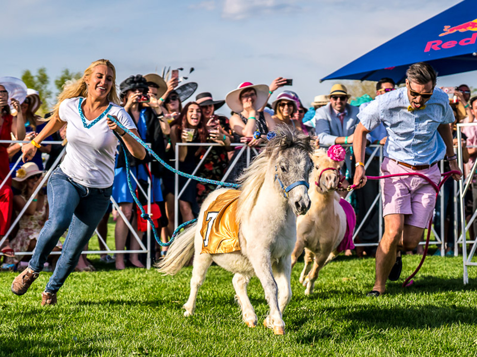 Lisa Blake - Journalist Profile - Intelligent Relations