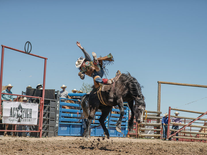 7 Rodeos in Colorado You Need To Check Out This Summer - 5280