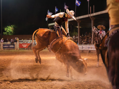 7 Rodeos in Colorado You Need To Check Out This Summer - 5280