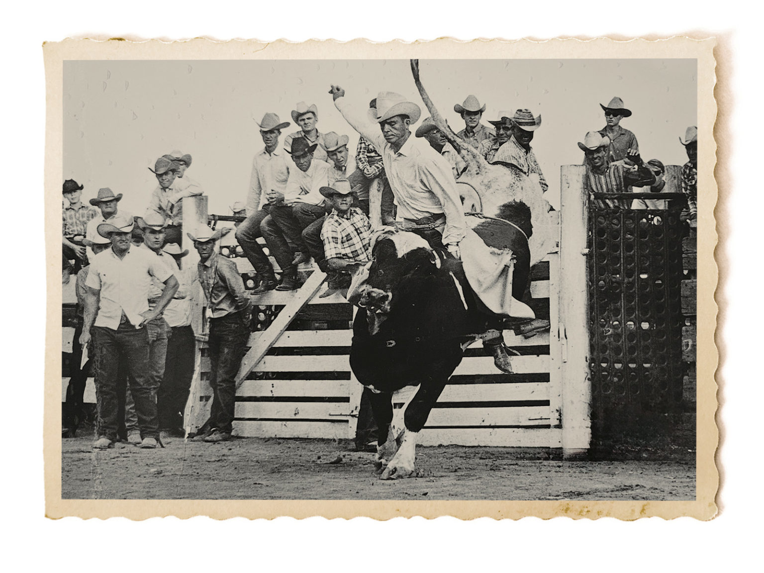 7 Rodeos in Colorado You Need To Check Out This Summer - 5280