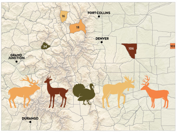 How To Get Started Hunting in Colorado - 5280