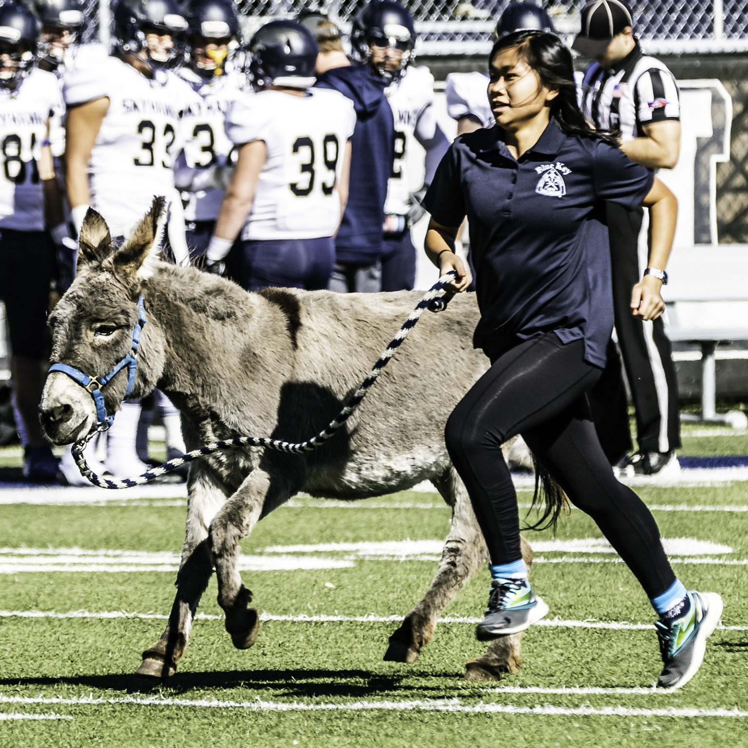 Season Preview: Colorado School of Mines Football - 5280