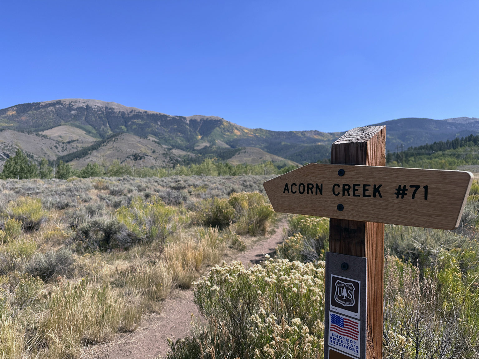 Silverthorne: Acorn Creek Loop - 5280