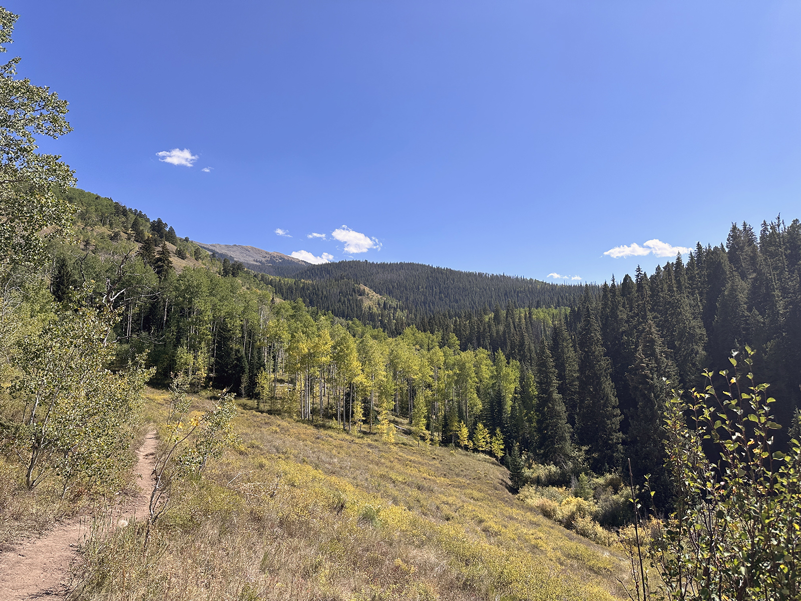 Silverthorne: Acorn Creek Loop - 5280