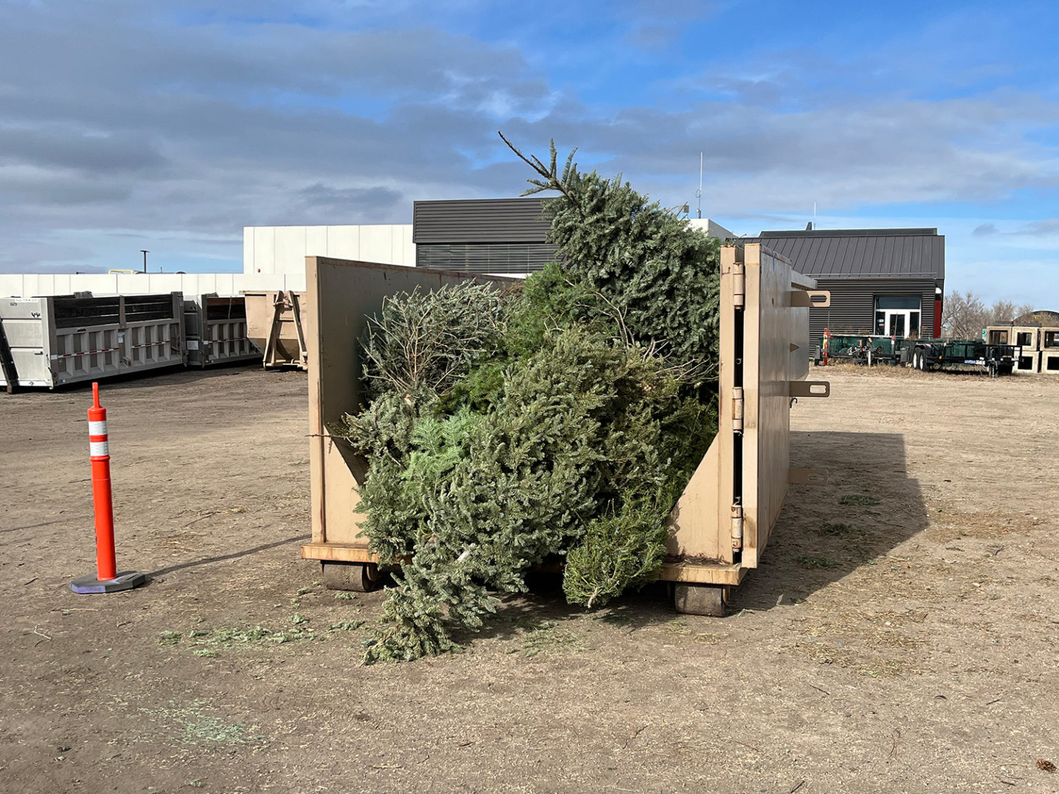 Where to Compost Your Christmas Tree In Denver- 5280