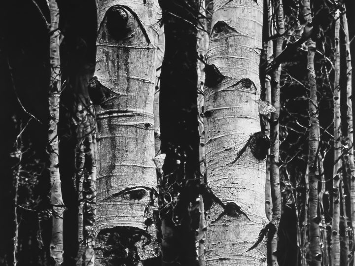 How One Denver Artist Explores the Science and Beauty of Wildfires - 5280