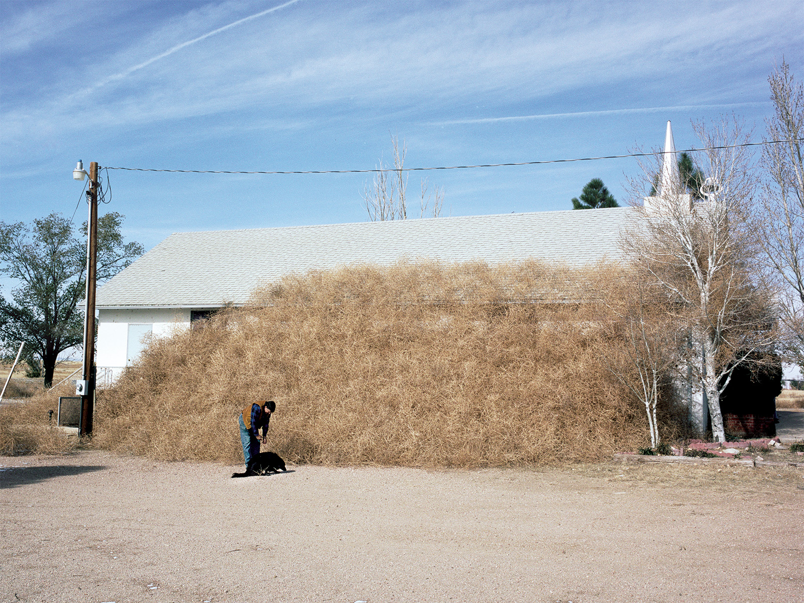 How the Tumbleweed, Literally and Metaphorically, Took Over the West - 5280