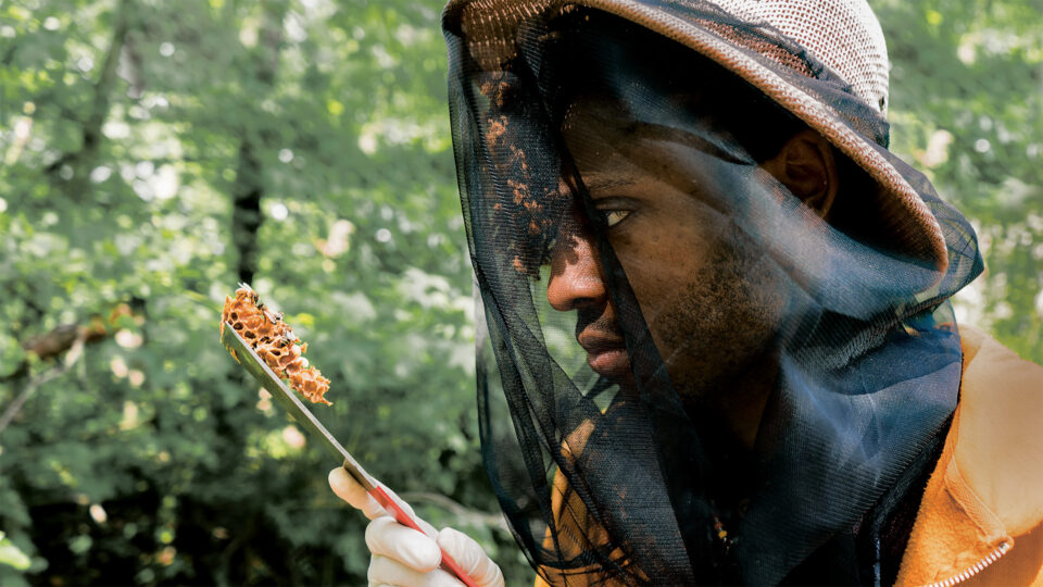 CU Boulder’s Samuel Ramsey May Be the Bees’ Best Chance at Survival - 5280