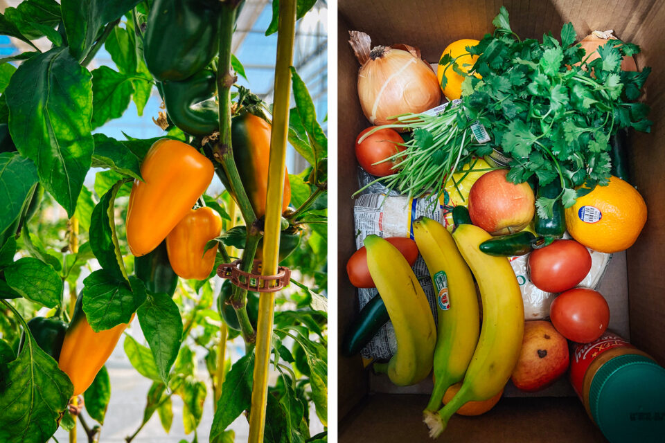 Healthy Food for Denver’s Kids: a Healthier, More Equitable Future - 5280